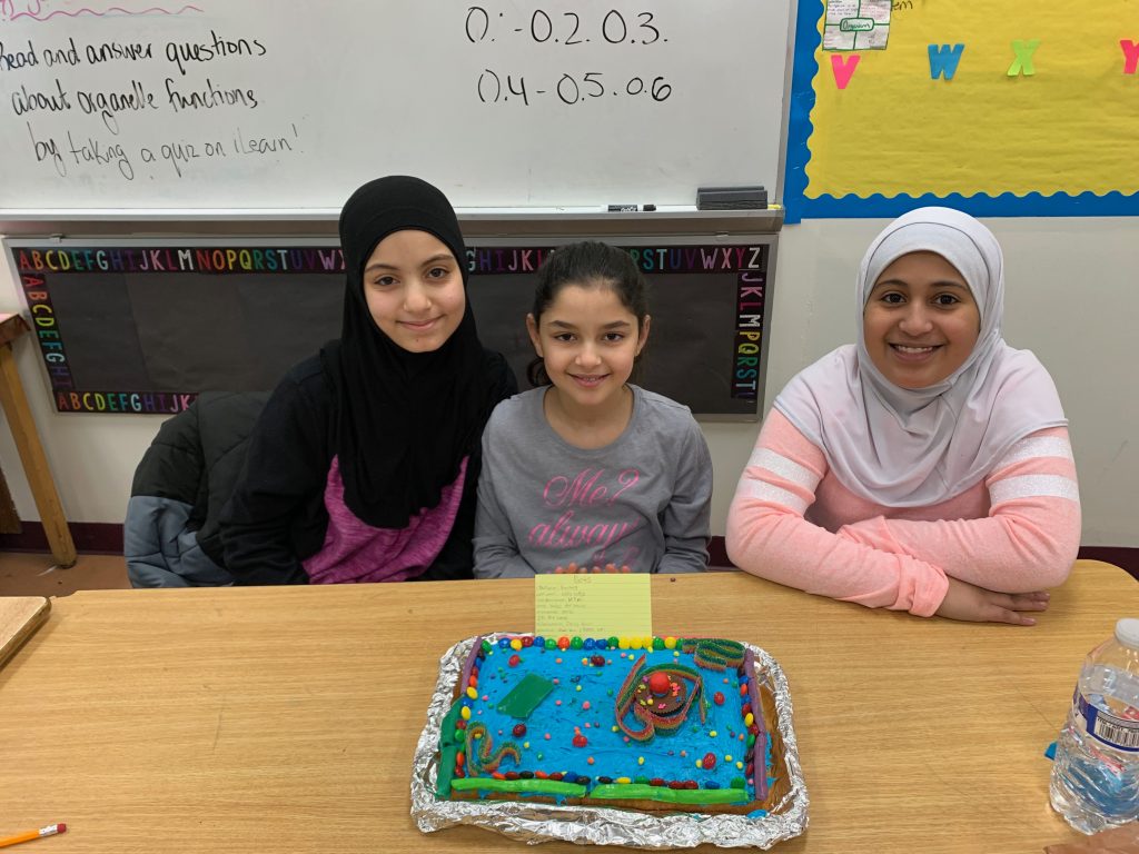 Mrs. Bazzi’s 6th Grade Students built models of cells using various ...